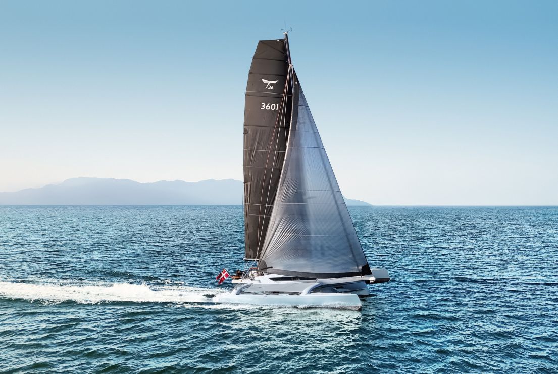 Dragonfly - High Quality Trimarans